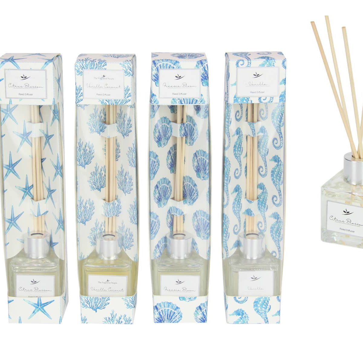 50ml Reed Diffuser with Sealife Design 4 Asstd – The Caravan Shop